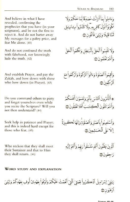 Pondering over the Qur'an : English Tafseer Translation of Tadabbur -e ...
