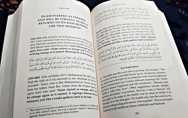 Sahih Muslim (Volumes 1-7 : Book of Faith through to Book of Hajj ...