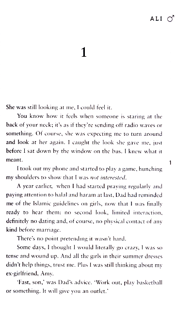 She Wore Red Trainers (Na'ima B. Robert)