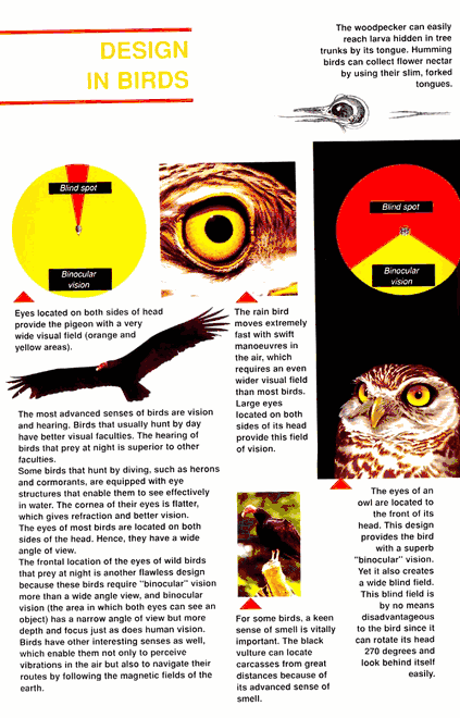 Signs of God : Design in Nature (Harun Yahya)