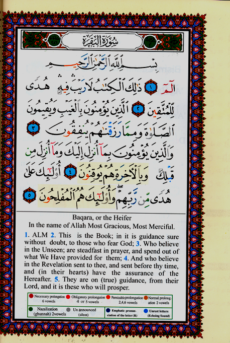 Quran411 Roman Script Tajweed Ul Quran : Arabic And English Regular