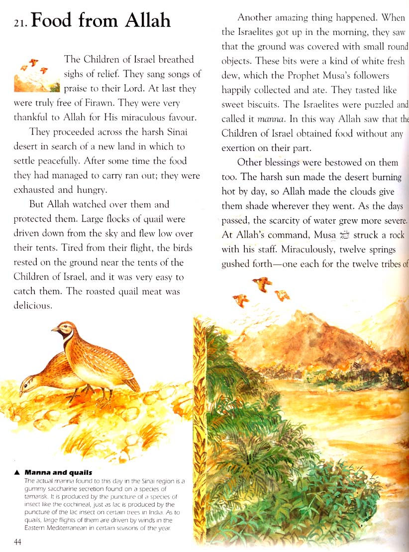 Tell Me About Prophet Musa (Hardcover) (Saniyasnain Khan) Ages 8 to 12+