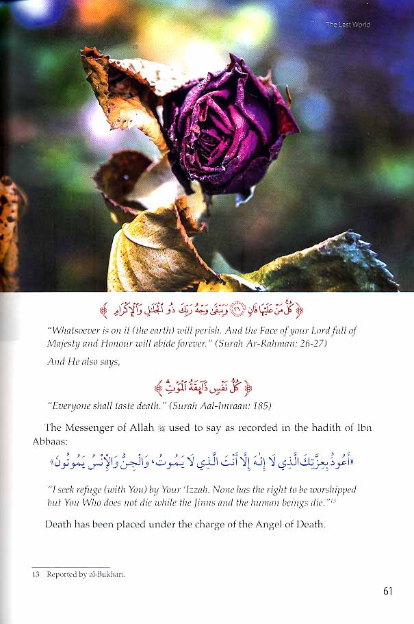 The Last World : Description of the Signs of the Hour; Barzakh and the ...