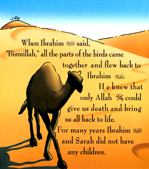 The Story of Ibrahim (Stories of the Prophets for Children)