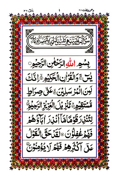 Yaseen Shareef (Surah Yaseen Single Booklet) Arabic Only (4 Color) 3" x 4"