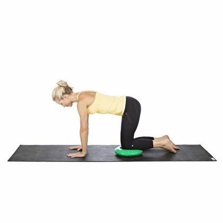 FitBALL Balance Disc: #1 Fast Free Shipping - Ithaca Sports