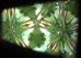 Stained Glass Kaleidoscope, "Peridot" 2020 By Artist Sue Rioux.