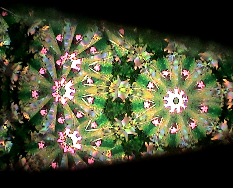 Fluid Fantasy Fireworks Jumbo Wand - Green and Yellow 12 Inches long by ...