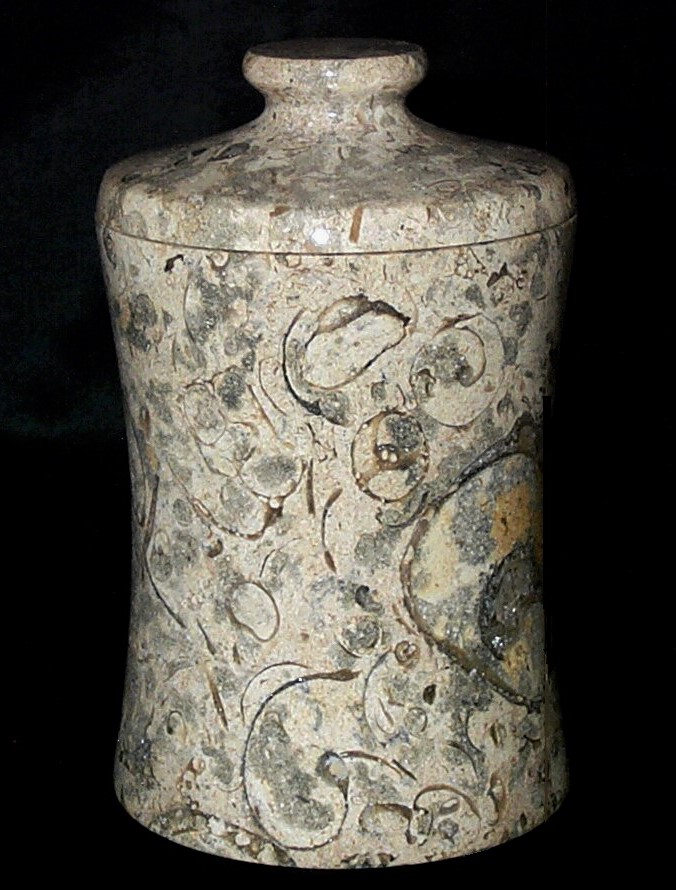 Coral Fossil Stone Vases, Fossil Bookends, Fossil Bowls, Coasters & Gifts