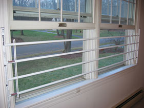 Guardian Angel Double Extra Large Window Guard