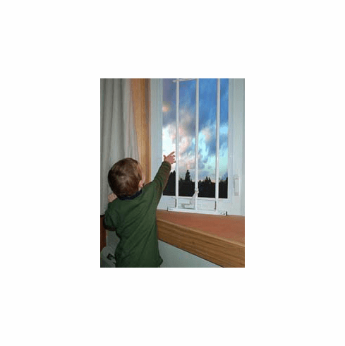 Guardian Angel Extra Large Window Guard