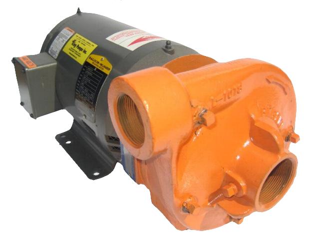 Berkeley Pumps 15 HP 3 PH 3600 RPM NPT # B2-1/2TPMS-B54574 close ...