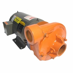 Berkeley Type B End Suction Centrifugal Pumps 3600 RPM