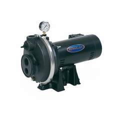 Berkeley / StaRite PN & PL Series Thermoplastic Shallow Well Jet Pump