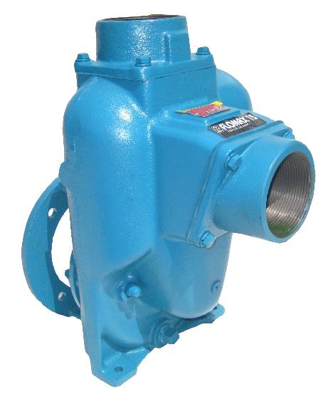 Flomax 15 # 21383 All Bronze PumPak Less Motor