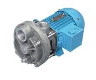 MTH Bronze Fitted Regenerative Turbine Pump 5 HP 208-230/460V 3 PH, ODP ...