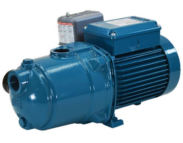 Pearl by Calpeda Cast Iron Bronze Fitted Shallow Well Jet Pump 12 GPM 1 ...