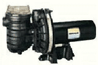 StaRite Pumps Swimming Pool Pumps
