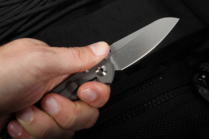 Chris Reeve Carbon Fiber Small Inkosi, Insingo Blade