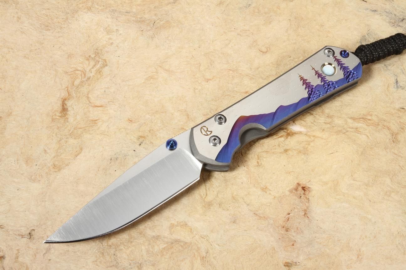 Chris Reeve Knives Small Sebenza 31 Night Sky Folding Knife - Unique ...