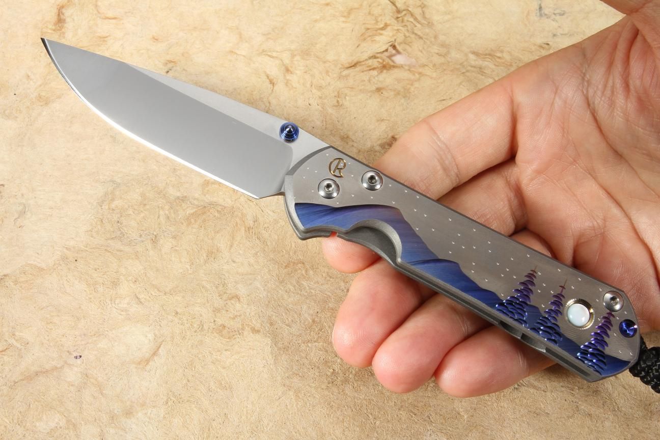 Chris Reeve Knives Small Sebenza 31 Night Sky Folding Knife - Unique ...