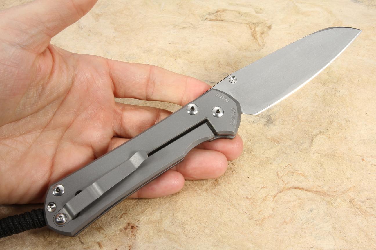 Chris Reeve Large Sebenza 31 Insingo - Glass Blasted - Sprint Run ...