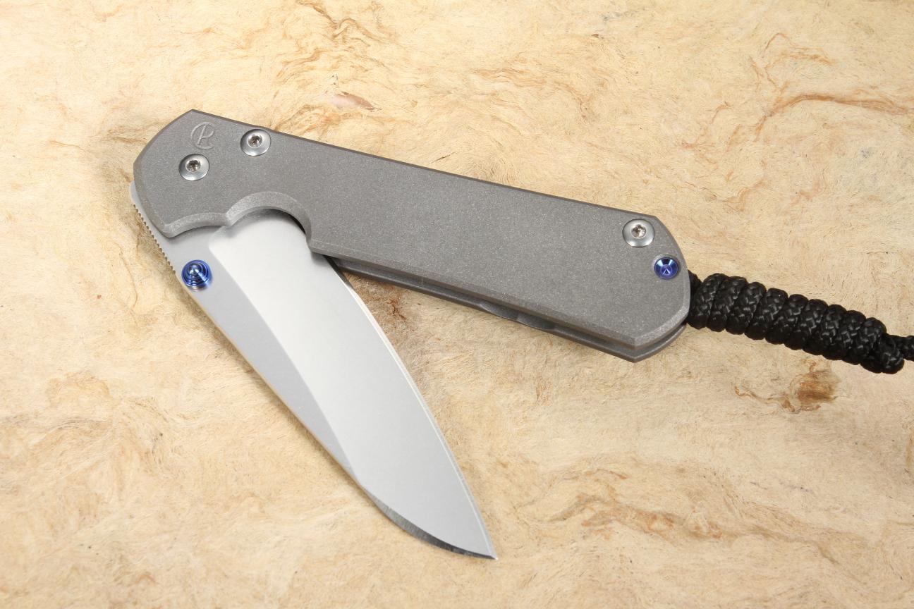 Chris Reeve Small Sebenza 31 Insingo - MagnaCut + Free Shipping