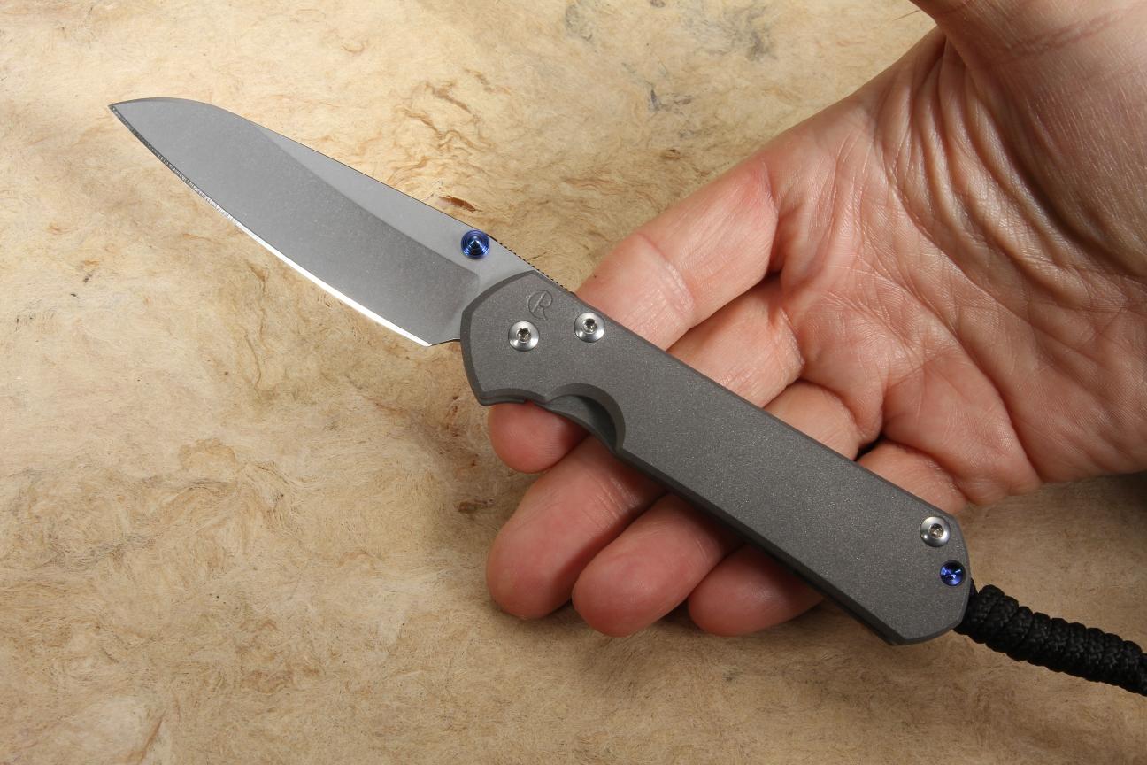 Chris Reeve Small Sebenza 31 Insingo - MagnaCut + Free Shipping