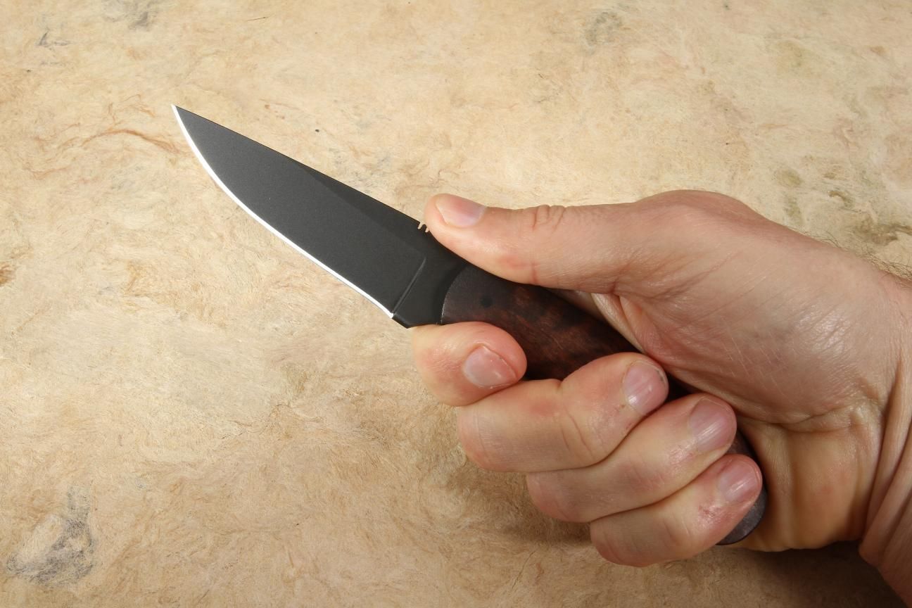 Winkler SD2 Maple Handle + Free Shipping