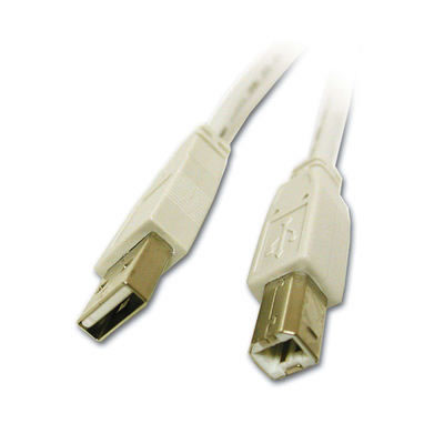 13172 - Cables To Go 2m (6.5ft) USB 2.0A to Mini-B Cable, White