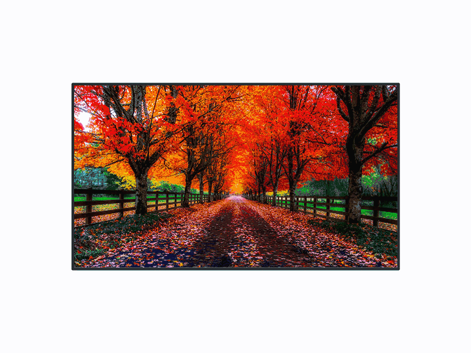 TH-75SQ1HW - Panasonic 75Inch 4K UHD LED LCD Professional SDM Display