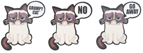 No Grumpy Cat