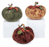 Katherine's Collection velvet fall pumpkins set of 3 - Katherine's ...