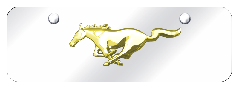 License Plate - HALF Size