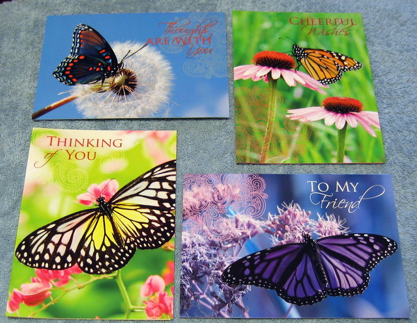 Encouraging Thoughts - 12 Greeting Cards with Scripture