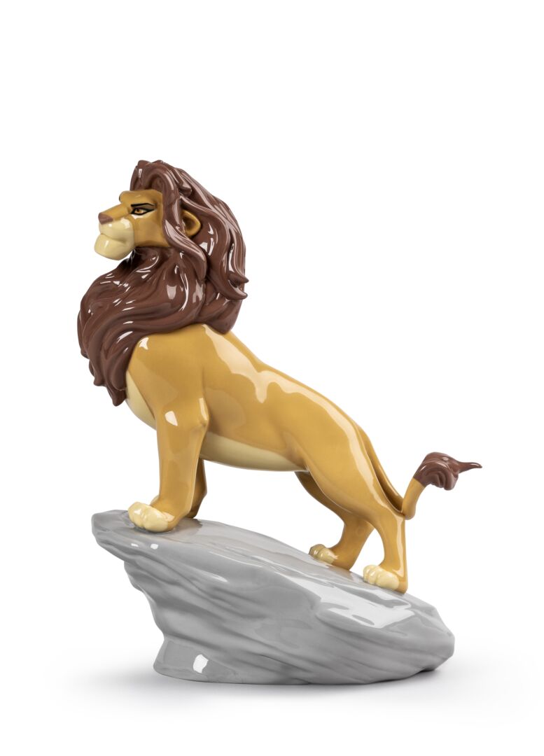01009112 Simba