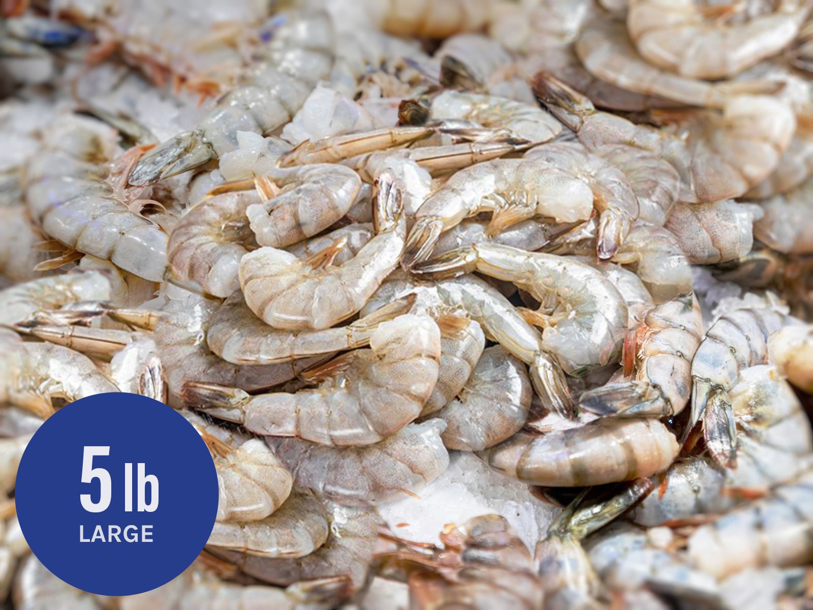 5 lb. Box Of Large Shrimp! ( 16-20 per lb)