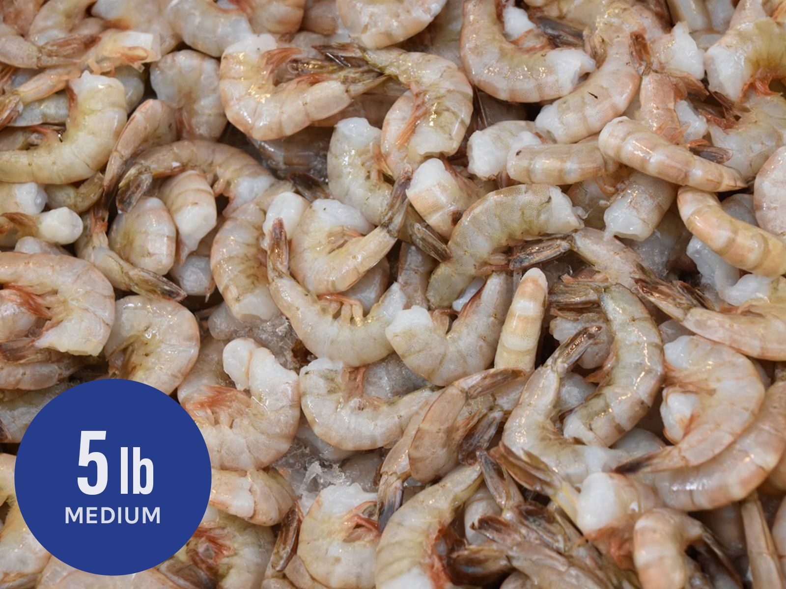 5 lb. Box Of Medium Shrimp! ( 31-40 per lb)