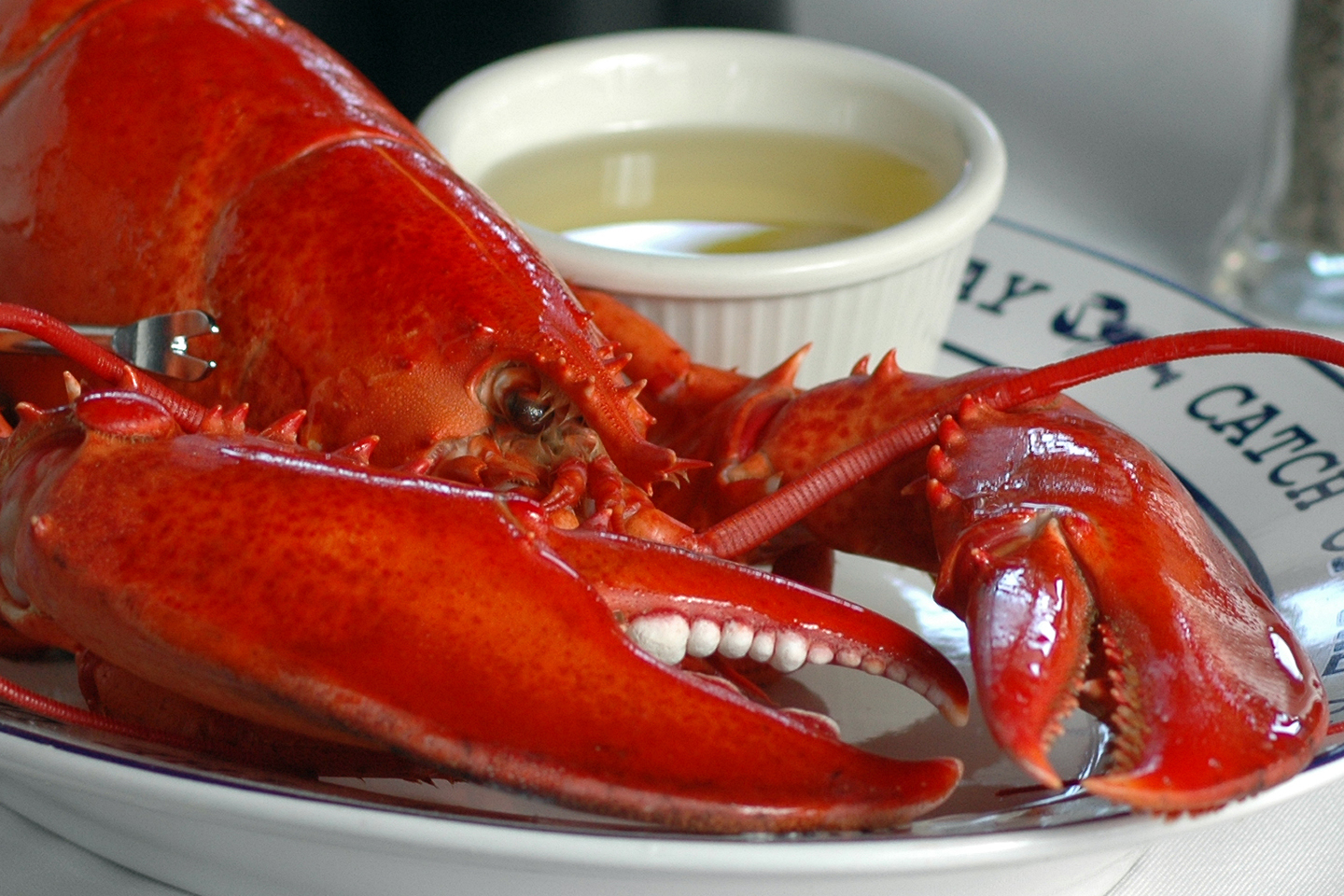 How Much Is A Pound Of Maine Lobster at Charli Fiaschi blog
