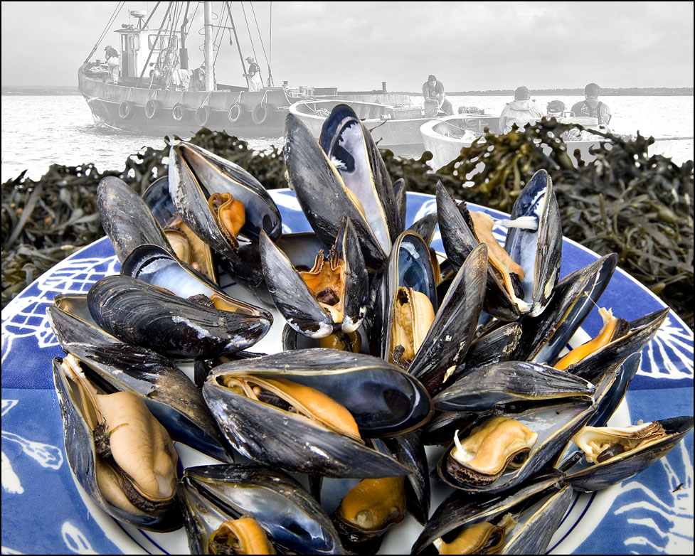 Fresh Maine & PEI Mussels!