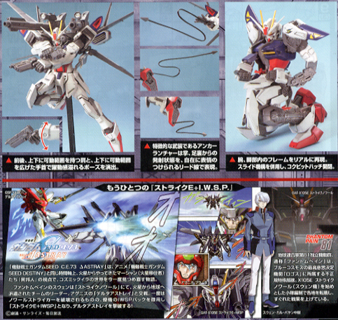 MG Lukas's Strike Gundam E + IWSP