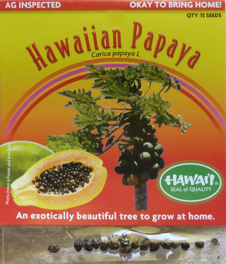 3 Packs of Maui Grown Seeds