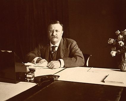26th US President Theodore Roosevelt 1907 Photo Print for Sale