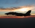 F-14 Tomcat Sunset in Flight Navy Photo Print for Sale