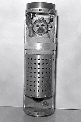 NASA Squirrel Monkey Miss Baker in Bio-Pack Photo Print for Sale