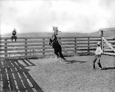 Old West Cowboys Relaxing on the Ranch 1906 Photo Print for Sale