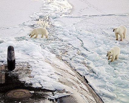 Polar Bears USS Honolulu SSN 718 Submarine Photo Print for Sale