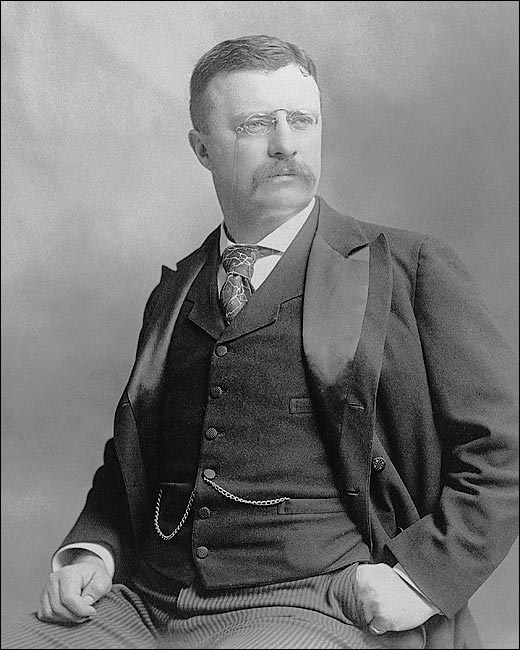 Teddy Roosevelt President