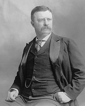 Theodore Roosevelt Presidential Portrait
