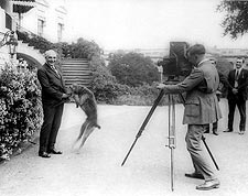 President Warren Harding Photos For Sale - Photographs, Prints, Posters ...